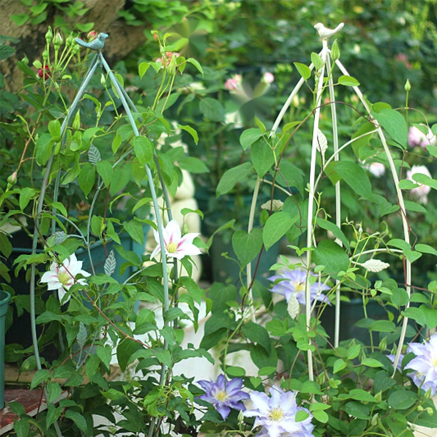 Garden trellis - Youlite Metal Products